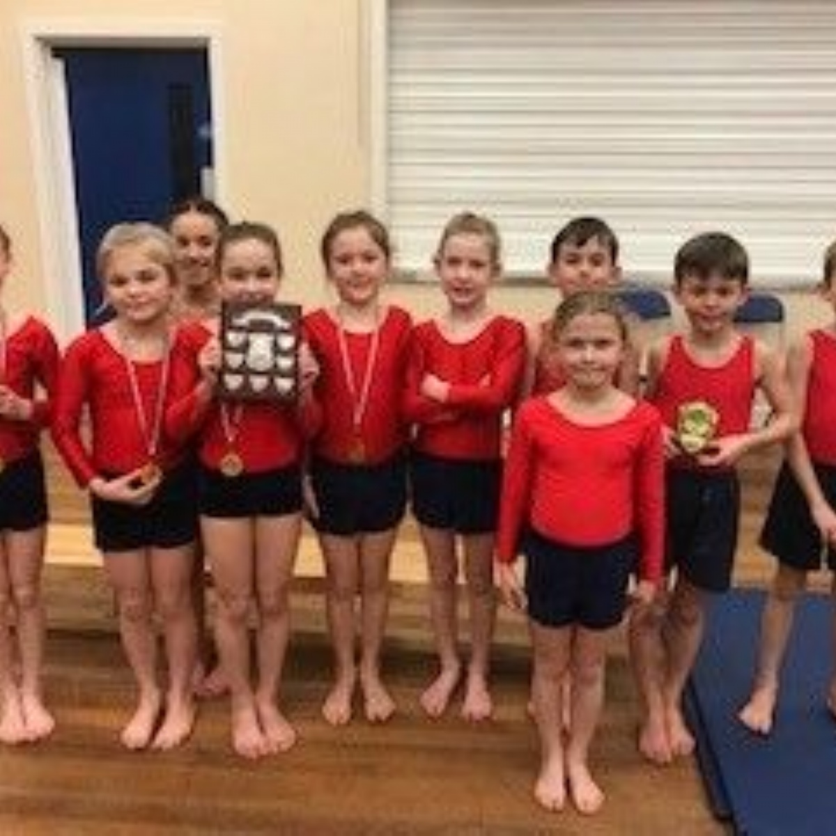 Well done to our Gymnastics Teams! - Baston C of E Primary School